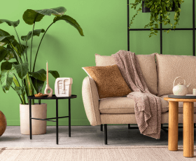 American Colors | Colecciones